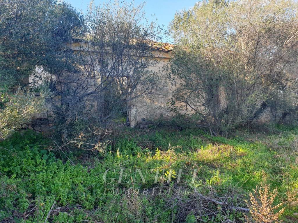 Rustico in vendita a Olbia