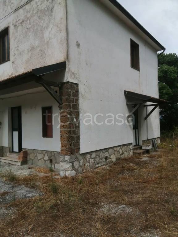 Casale in in vendita da privato a Castell'Azzara via Beato Guido da Selvena, 3