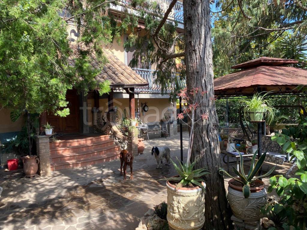 Intero Stabile in vendita a Frascati via Lorenzo sebastiani, 12