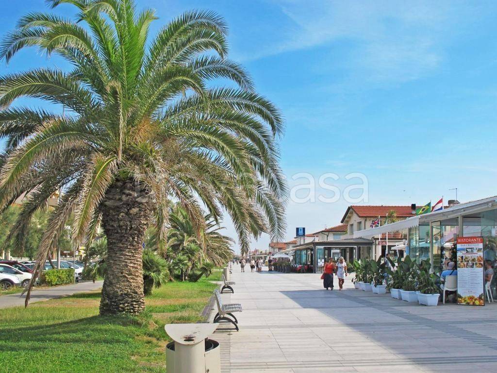 Intero Stabile in vendita a Camaiore