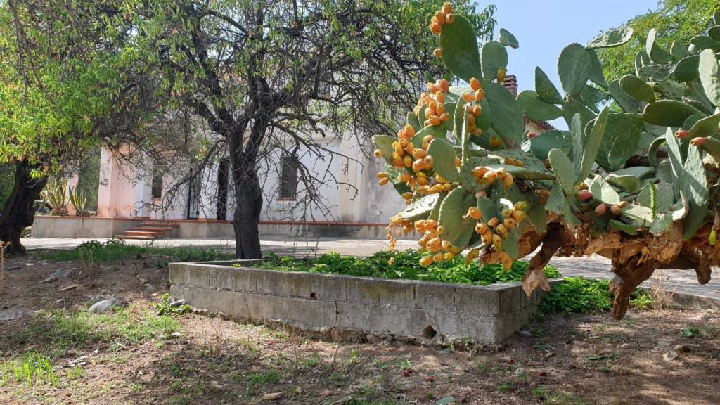 Casale in vendita a Simeri Crichi strada del Bosco