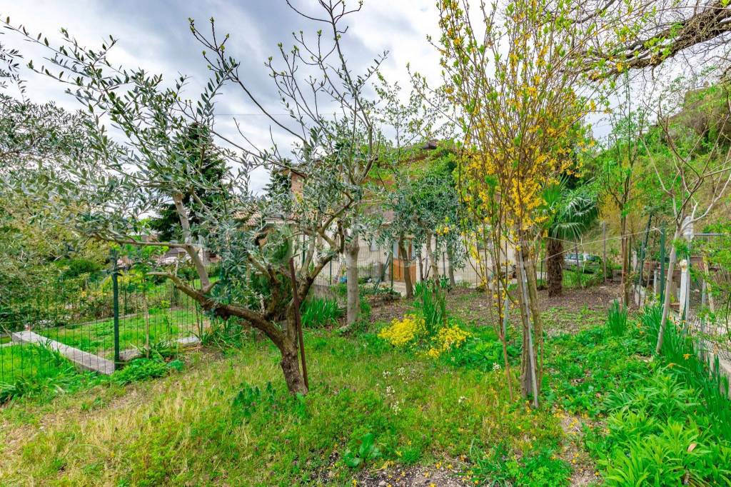 Colonica in vendita ad Apiro strada Provinciale Apiro Poggio San Vicino