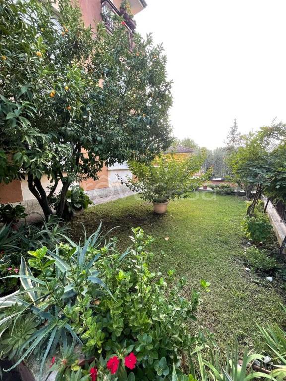Appartamento in vendita a Viareggio
