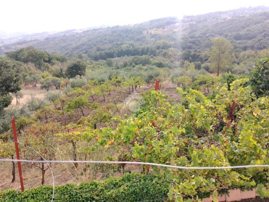 Villa in vendita a Castelvetere sul Calore via provinciale