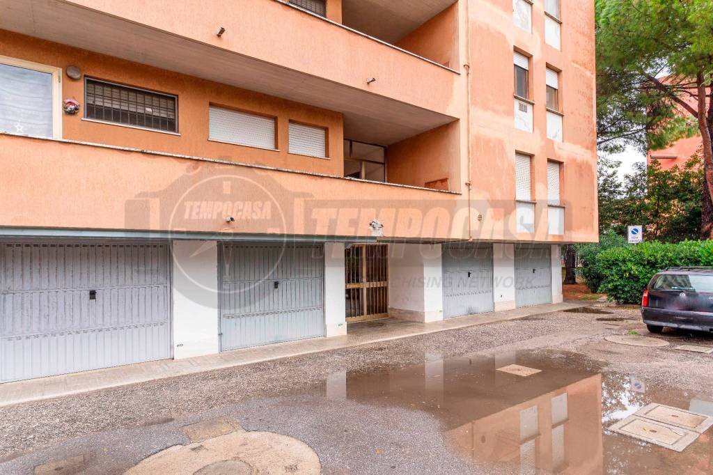 Appartamento in vendita a Pisa via Italo Bargagna, 50