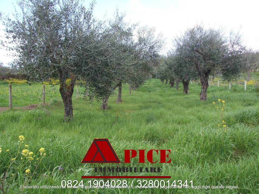 Villa in vendita ad Apice contrada Calvano