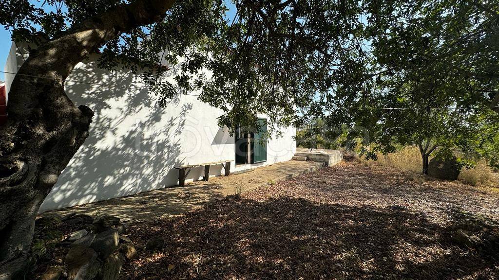 Colonica in vendita a Orosei localita pappacasu