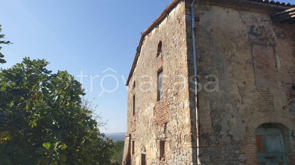 Casale in in vendita da privato a Monteleone d'Orvieto podere Pomartino, 1