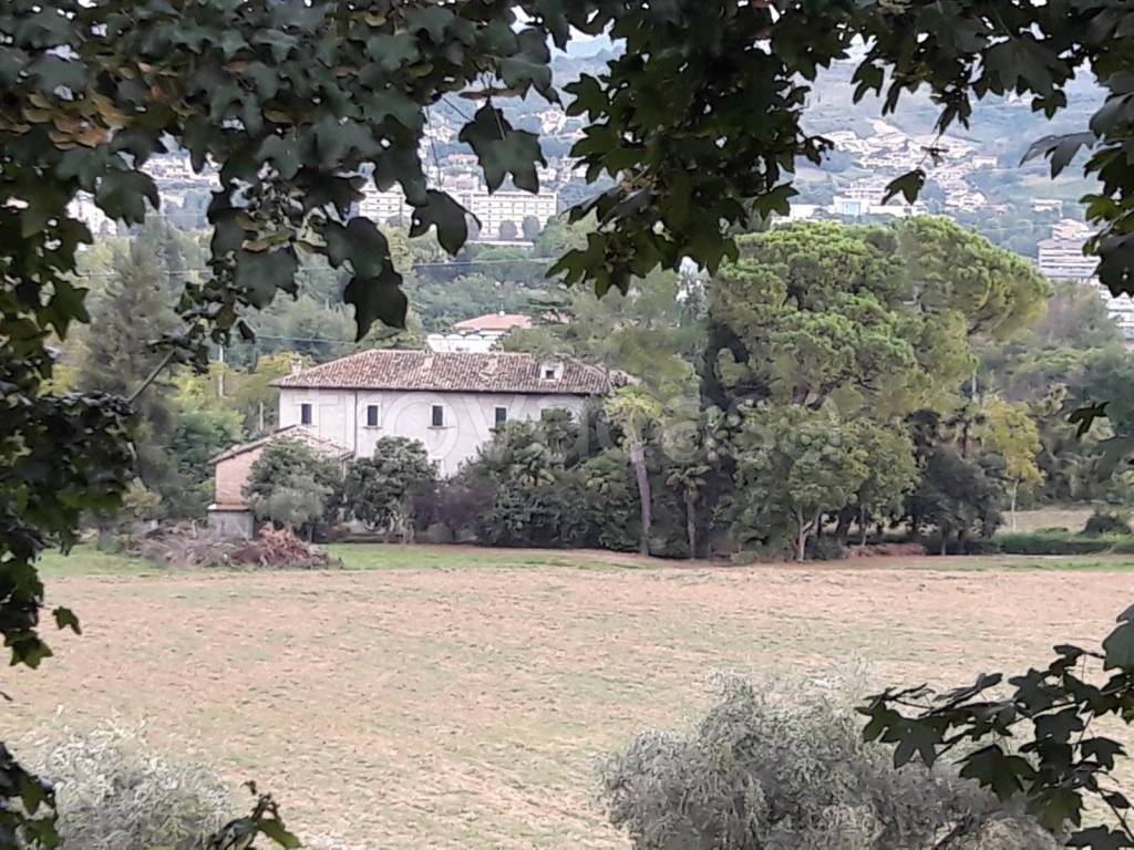 Rustico in vendita ad Ascoli Piceno via Dell'aspo, 61