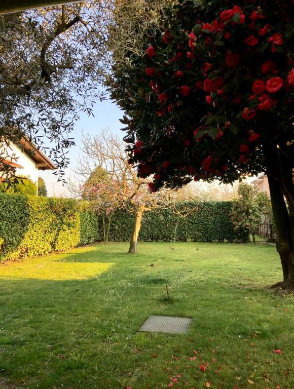 Villa in in vendita da privato a Vigevano via Bercleda, 63