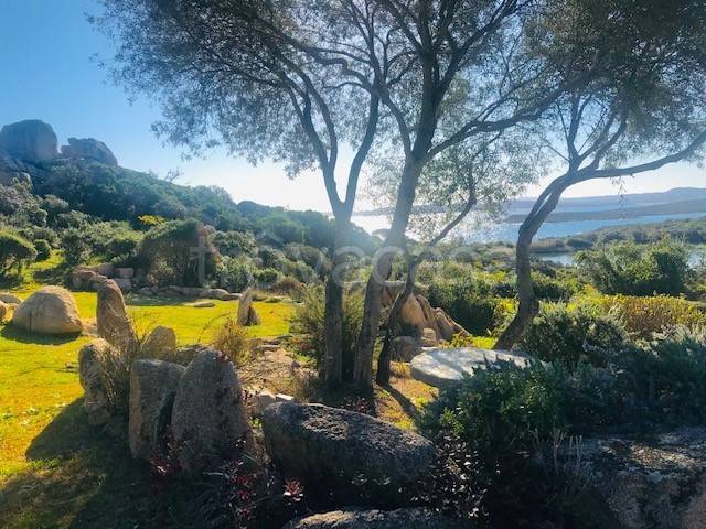 Villa a Schiera in vendita a Santa Teresa Gallura via Aa48
