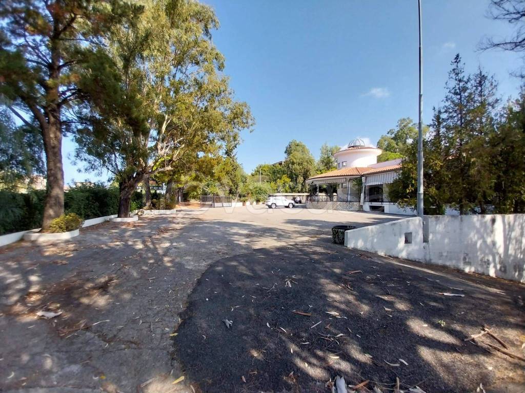 Intero Stabile in vendita a Diamante contrada Riviere