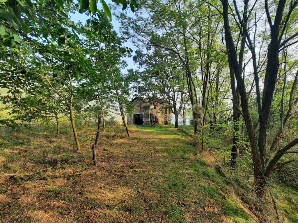 Rustico in vendita a Montechiaro d'Acqui montechiaro alto