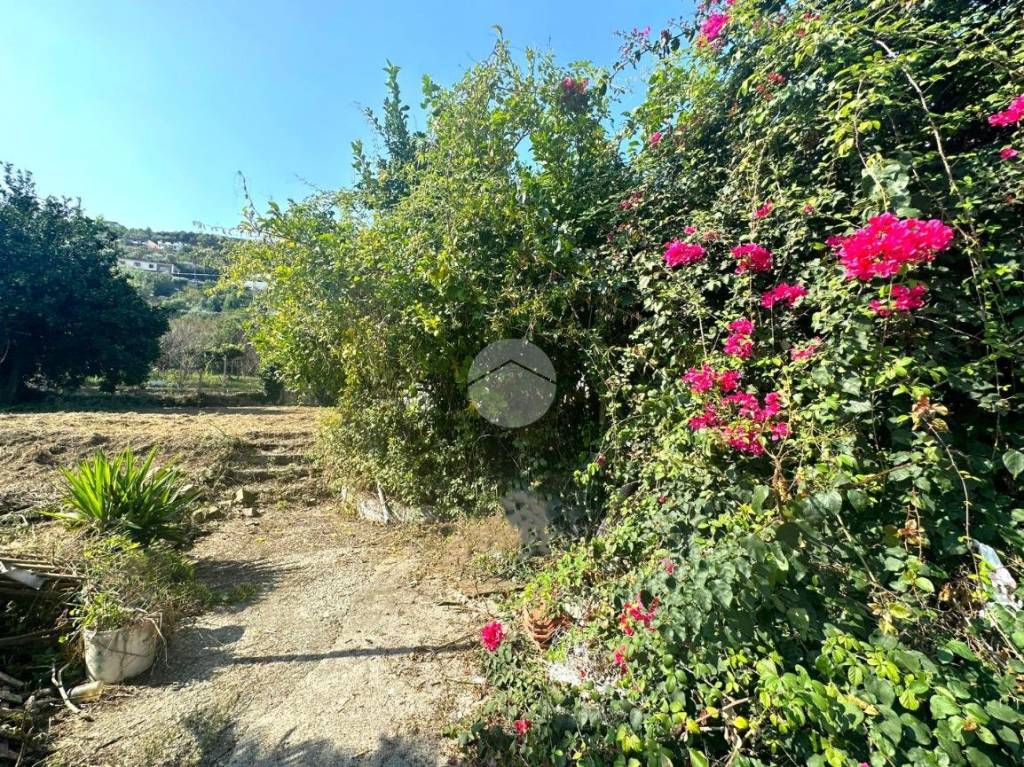 Rustico in vendita a Monte di Procida via Caranfe