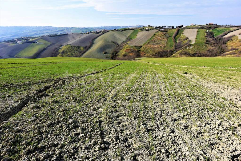 Rustico in vendita a Montappone