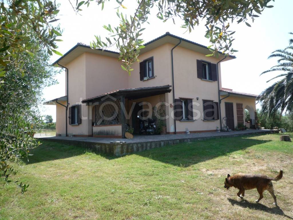 Villa Bifamiliare in vendita a Bibbona