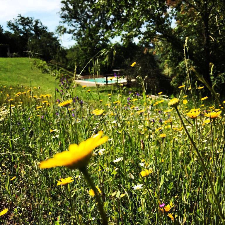 Rustico in in vendita da privato a Castiglione della Pescaia via dei Castagni, 1