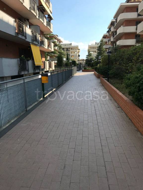 Appartamento in in vendita da privato a San Nicola la Strada vicolo Santoro, 12