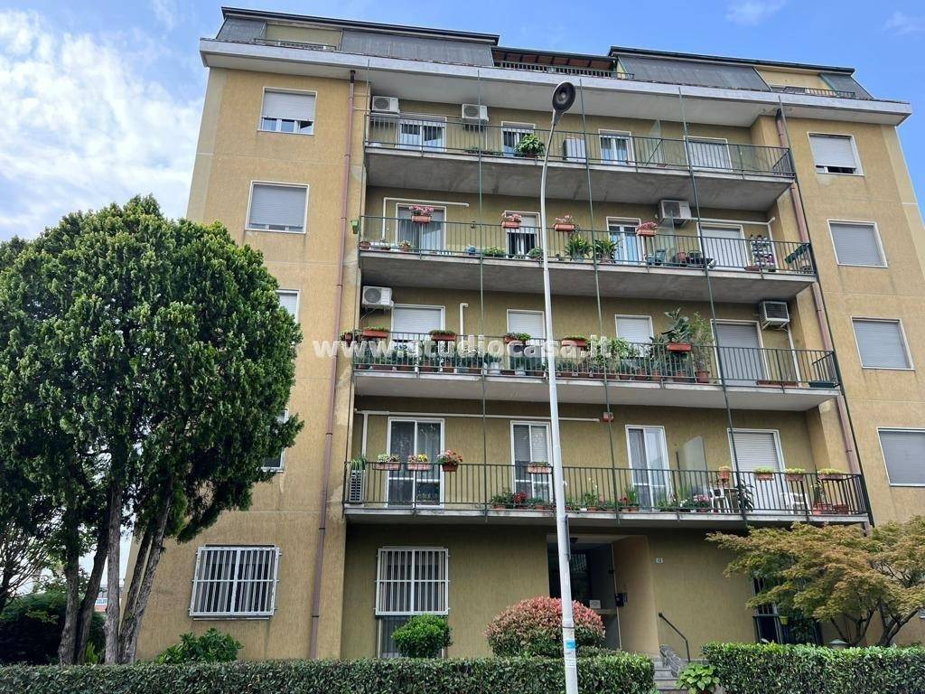 Appartamento in vendita a Belgioioso via donna anna d'este