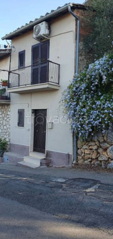 Casa Indipendente in in vendita da privato a Calvi dell'Umbria via Santa Lucia, 4