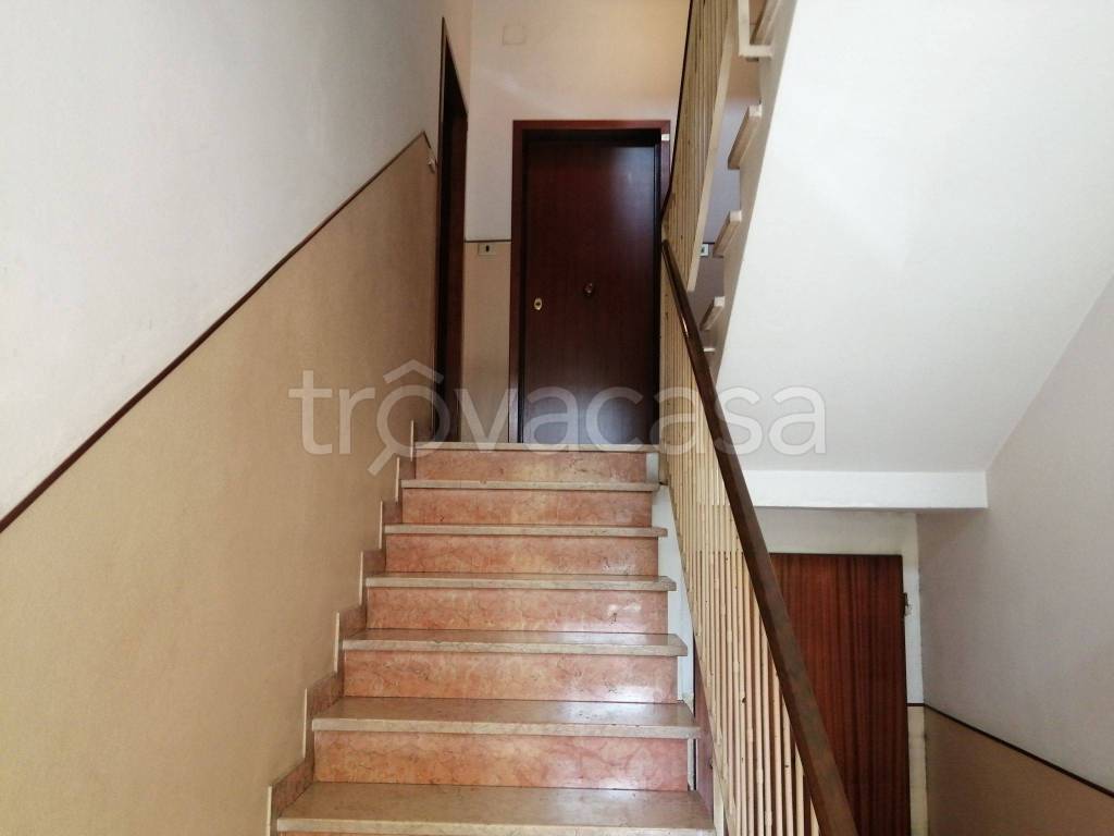 Intero Stabile in in vendita da privato a Casalecchio di Reno via Carlo Lorenzini Collodi, 8