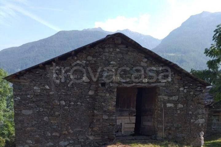 Cascina in in vendita da privato a Corteno Golgi via Camillo Golgi