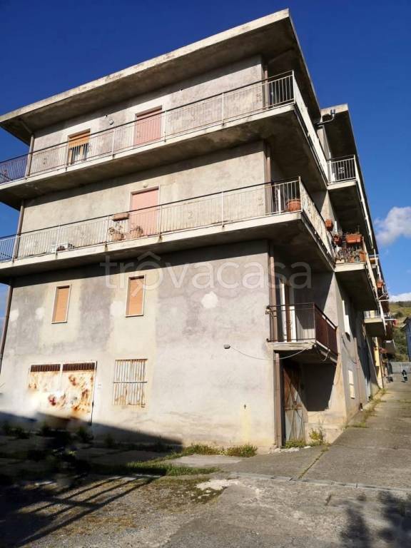 Intero Stabile in in vendita da privato a Santa Maria del Cedro via Nazionale
