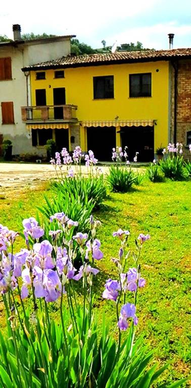 Casa Indipendente in in vendita da privato a Casina località Casalio, 9