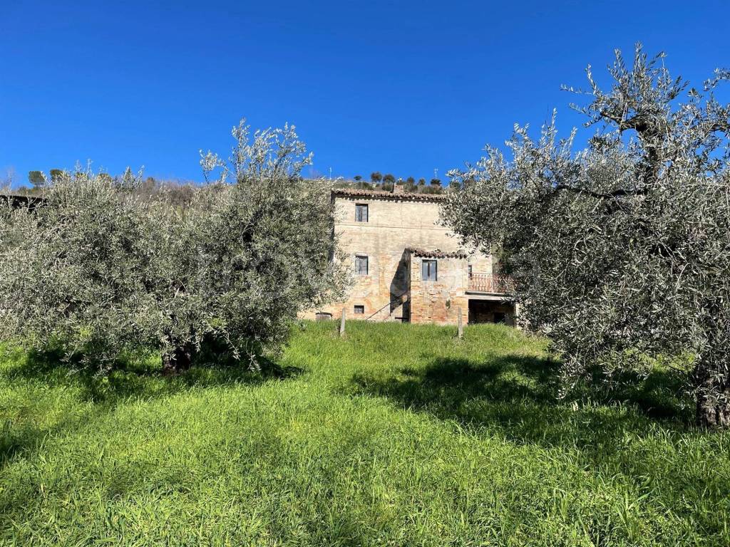 Colonica in in vendita da privato a Fermo contrada Bore di Tenna, 26