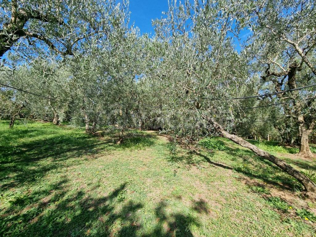 Villa in vendita a Soriano nel Cimino strada Provinciale Sant'Eutizio