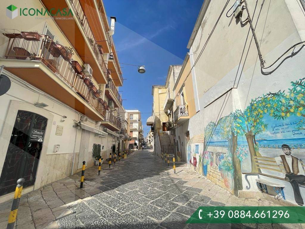 Appartamento in vendita a Manfredonia via Maddalena, 87