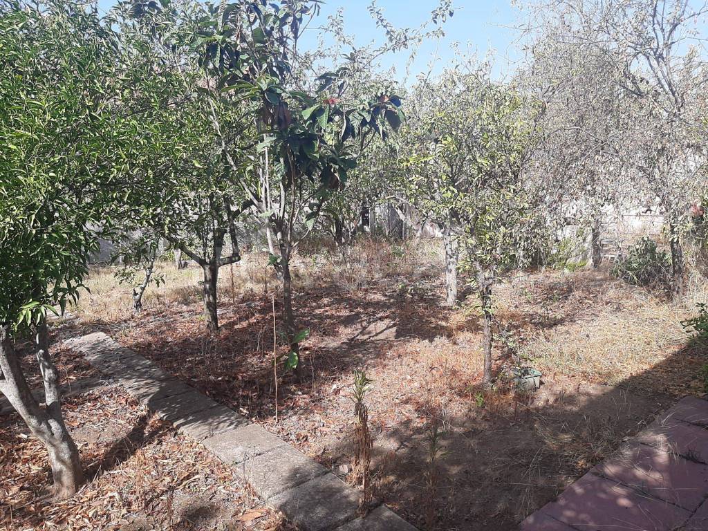 Villa in in vendita da privato a Quartu Sant'Elena strada Comunale Santa Anastasia