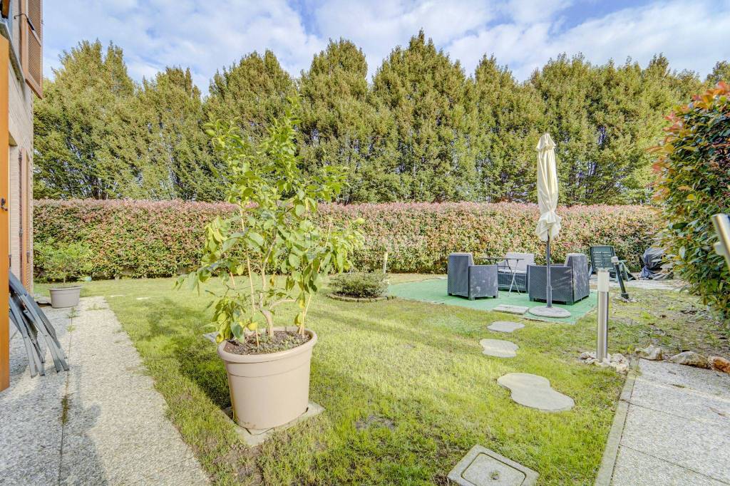 Appartamento in vendita a Cardano al Campo via trento 11