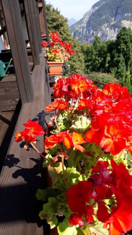 Appartamento in vendita ad Altopiano della Vigolana maso Stauderi