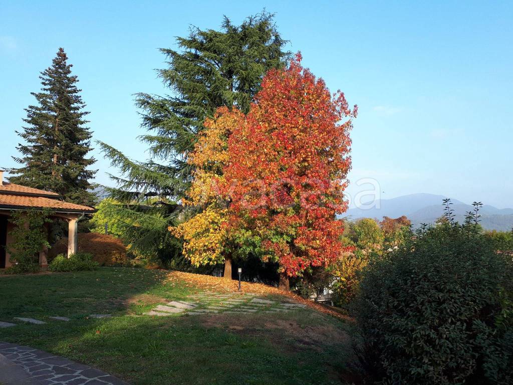 Appartamento in in vendita da privato a Ranica via Cristoforo Colombo, 44