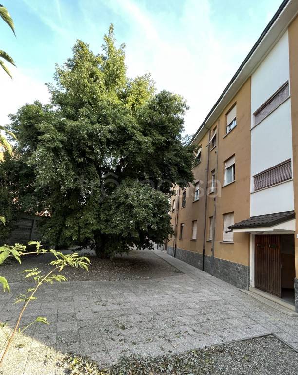 Appartamento in vendita a Gallarate via Torino, 51