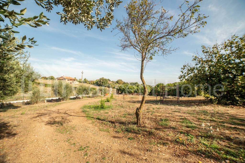 Villa in vendita a Monterosi via Domenico Placidi, 6a