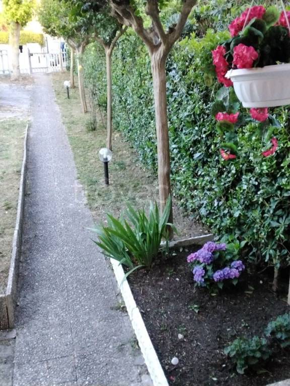 Villa a Schiera in in vendita da privato a Montemarciano viale al Mare, 4