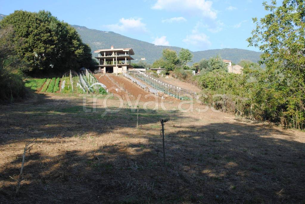 Villa Bifamiliare in in vendita da privato a Piglio contrada Lago