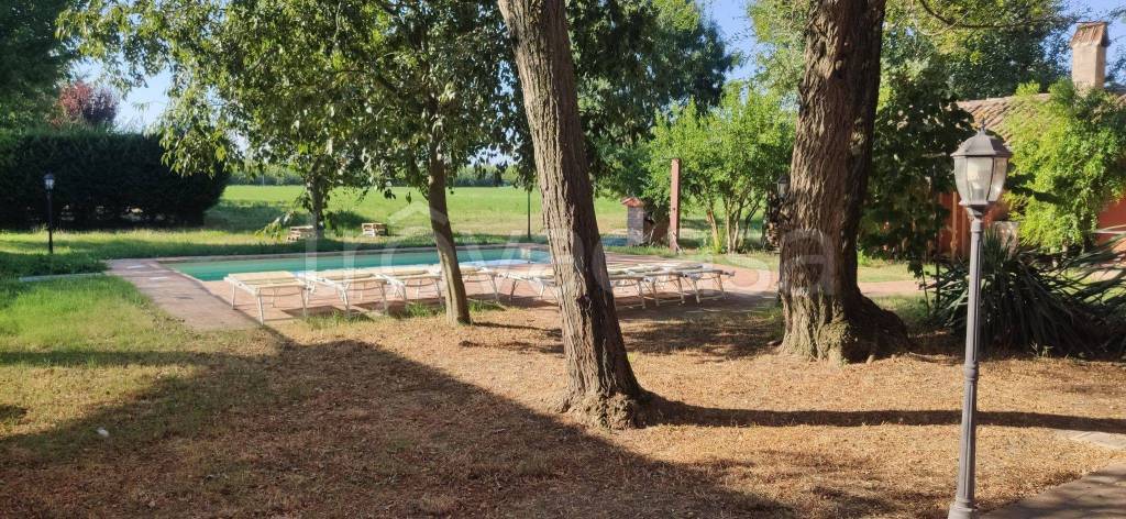 Casale in in vendita da privato a Imola via Nuova