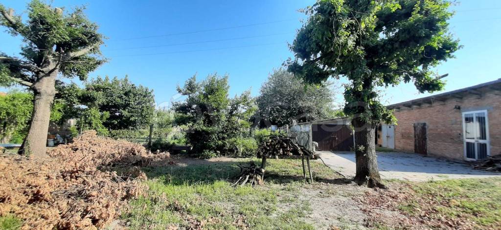Casa Indipendente in vendita ad Argenta