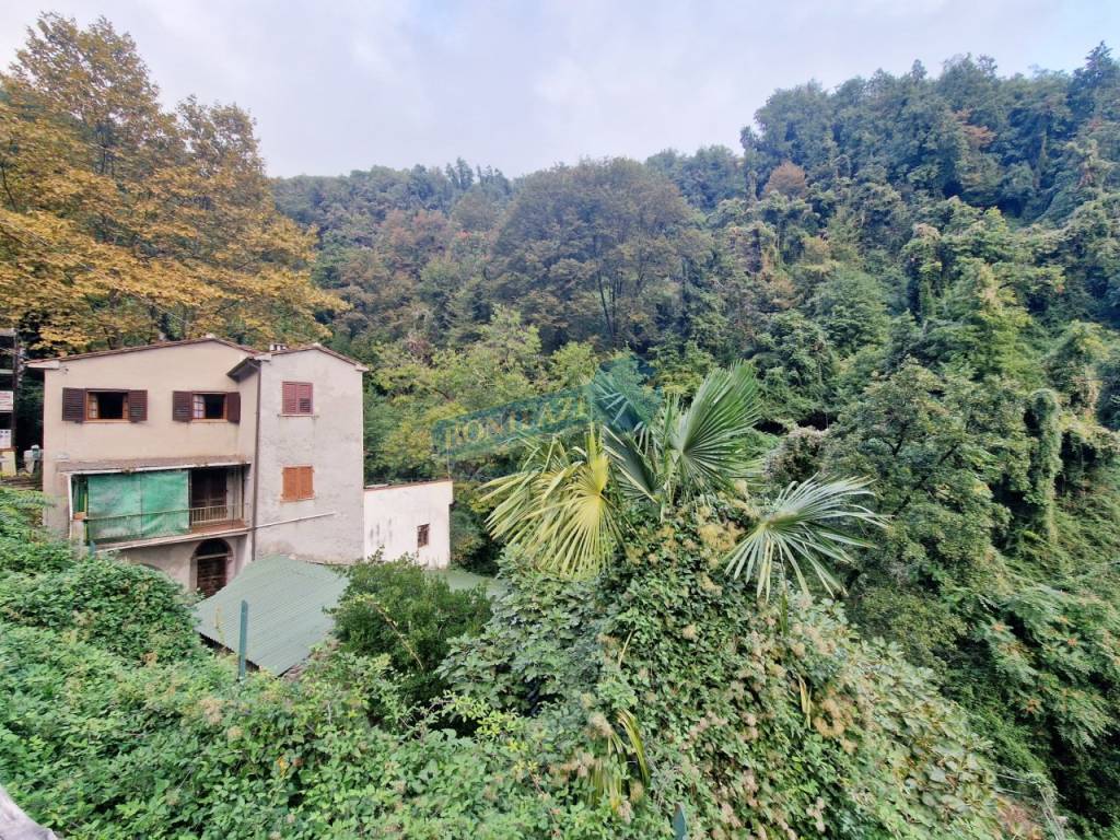 Villa a Schiera in vendita a Camaiore via Carmelo Cappello Foto-1
