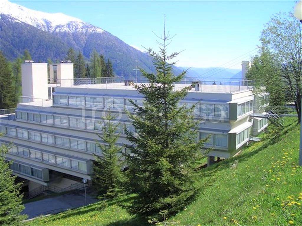 Appartamento in in vendita da privato a Mezzana strada Provinciale di Marilleva