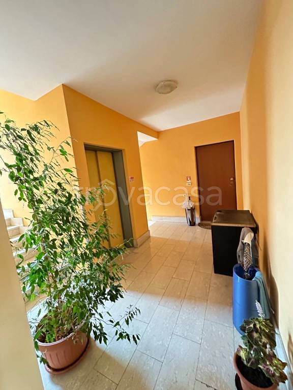 Appartamento in in vendita da privato a Nichelino via Fabio Filzi, 17