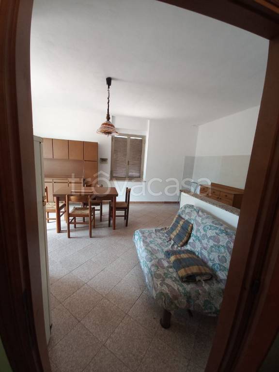 Appartamento in in vendita da privato a Seggiano piagge, 26