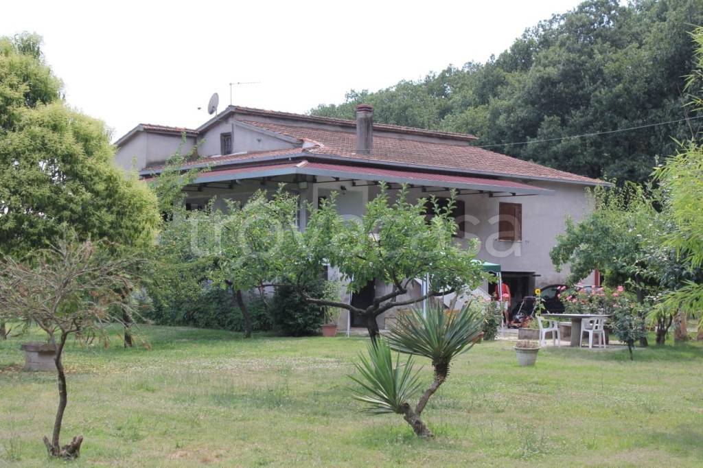 Villa in in vendita da privato ad Aquino contrada Scardatore, 2