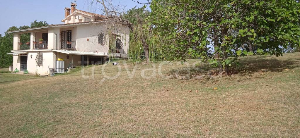 Villa in in vendita da privato a Tarano vocabolo Campana