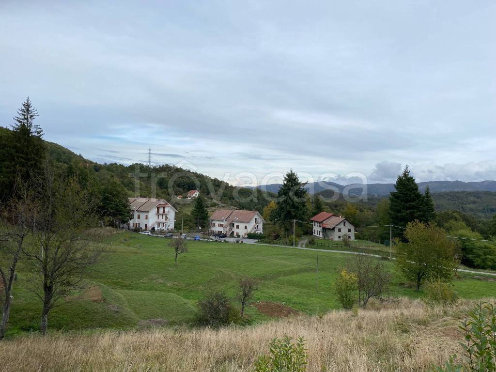 Appartamento in in vendita da privato a Urbe via Chiavarino
