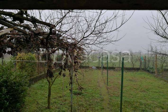 Appartamento all'asta a Monticelli d'Ongina via Olza Fogarole Cristo , 112