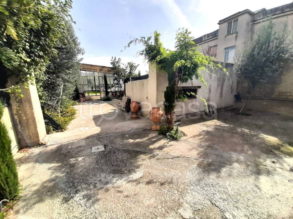 Intero Stabile in vendita a Cimitile via Roma, 108